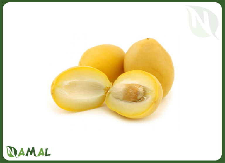 Egyptian Barhi Dates – NAMAL for Import & Export