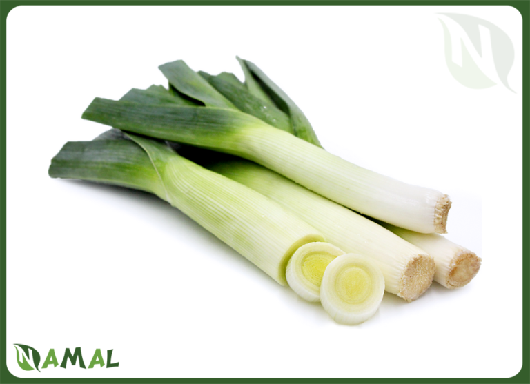 Egyptian Leeks – NAMAL for Import & Export